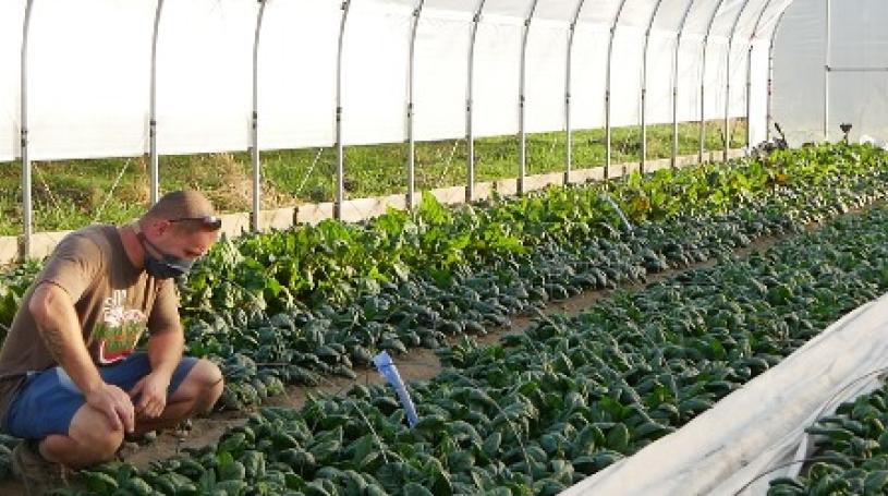 The Carrot Project’s Winter 2022 Training Series | Addison County ...